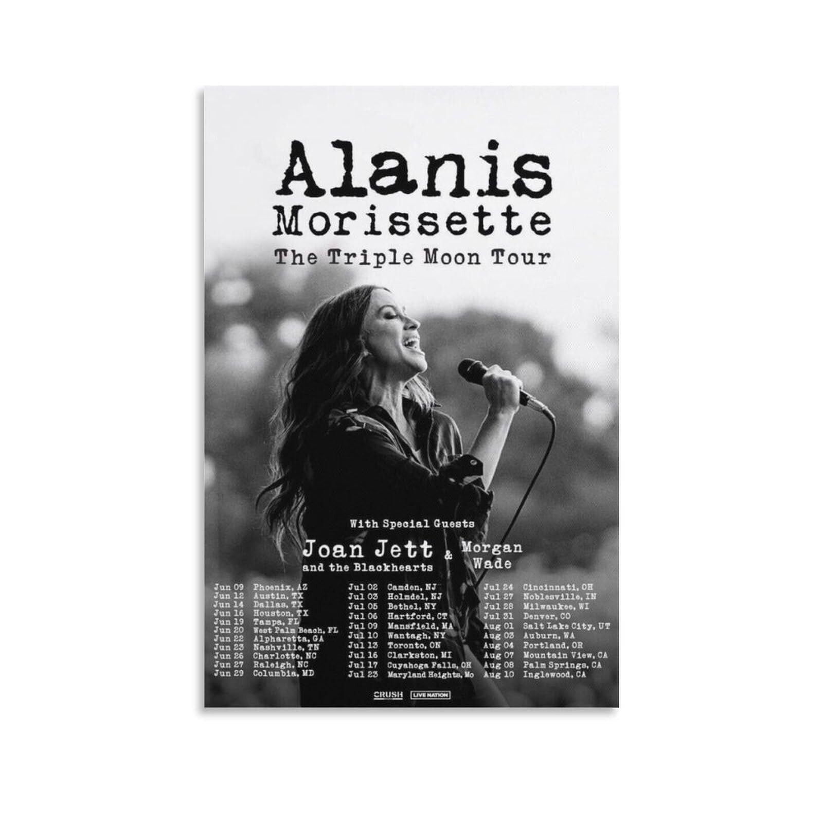 Alanis Morissette 4 Canvas Poster Bedroom Decoration Landscape Office ...