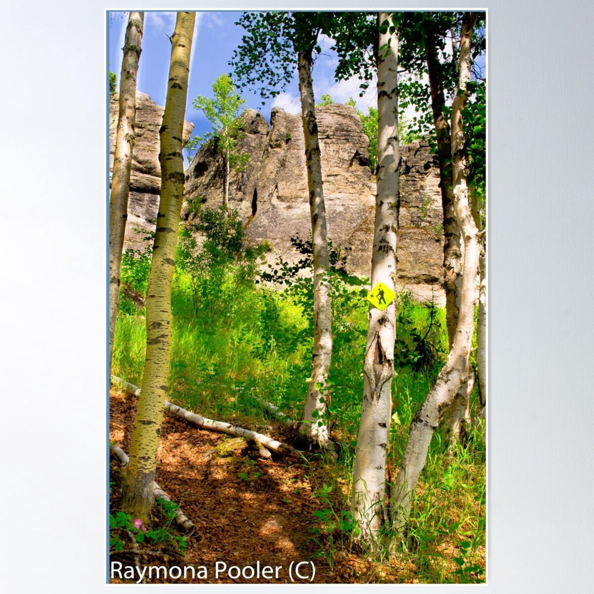 Alasal Hiking Poster Wall Art, Modern Wall Decor For Living Room ...