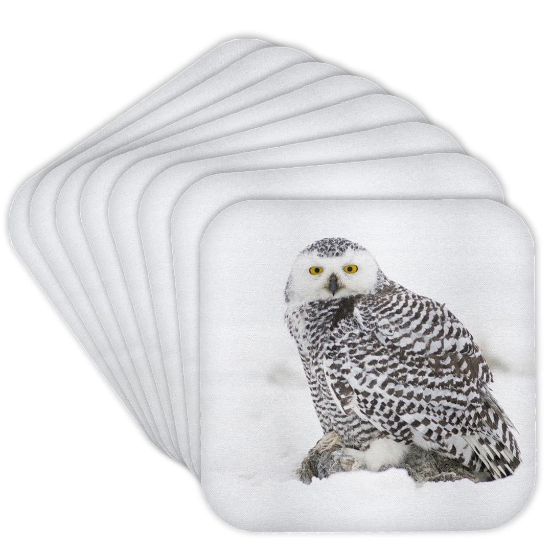 Alaska, 1002 Coastal Plain, Anwr, Snowy Owl - Us02 Ska4766 - Steve ...