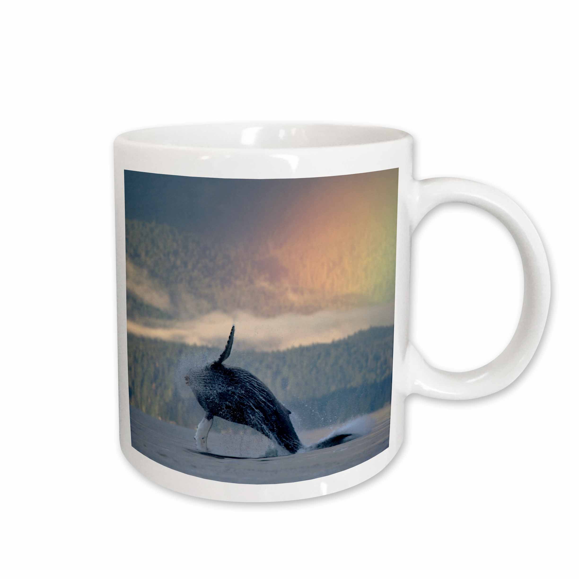 3drose, Alaska, Angoon, Humpback Whale Breaching - Us02 Pso0613 - Paul ...