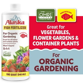 Jack's Fertilizer Veggie FeED 12-15-30, Water-Soluble Fertilizer ...