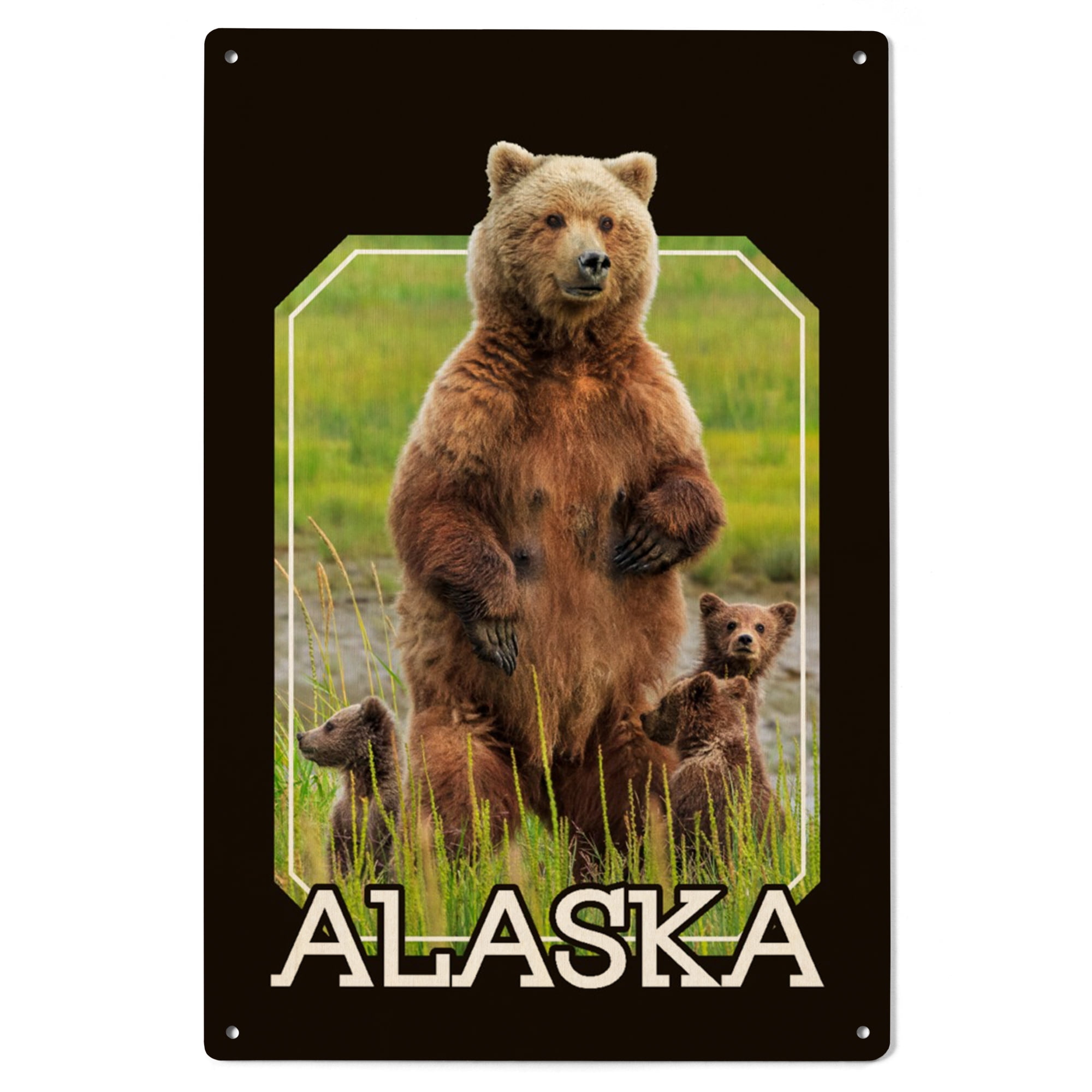 Alaska, Grizzly Bear and Cubs, Contour Birch Wood Wall Sign (6x9 Rustic ...