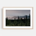 Alaska Interior II - Alaska Photography Forest Nature Landscape ...