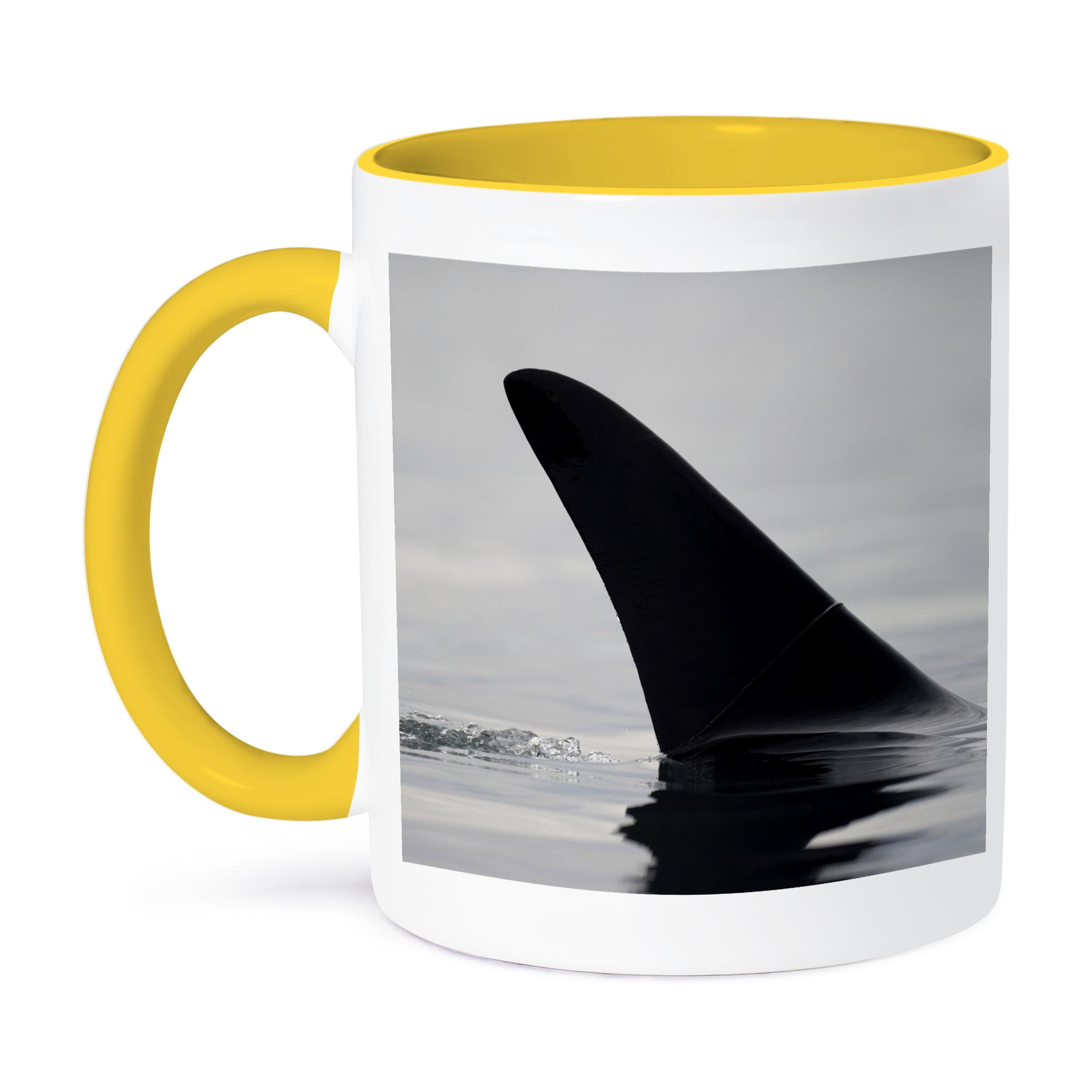 Alaska, Juneau, Killer Whale Fin, Stephens Passage - Us02 Pso0762 ...