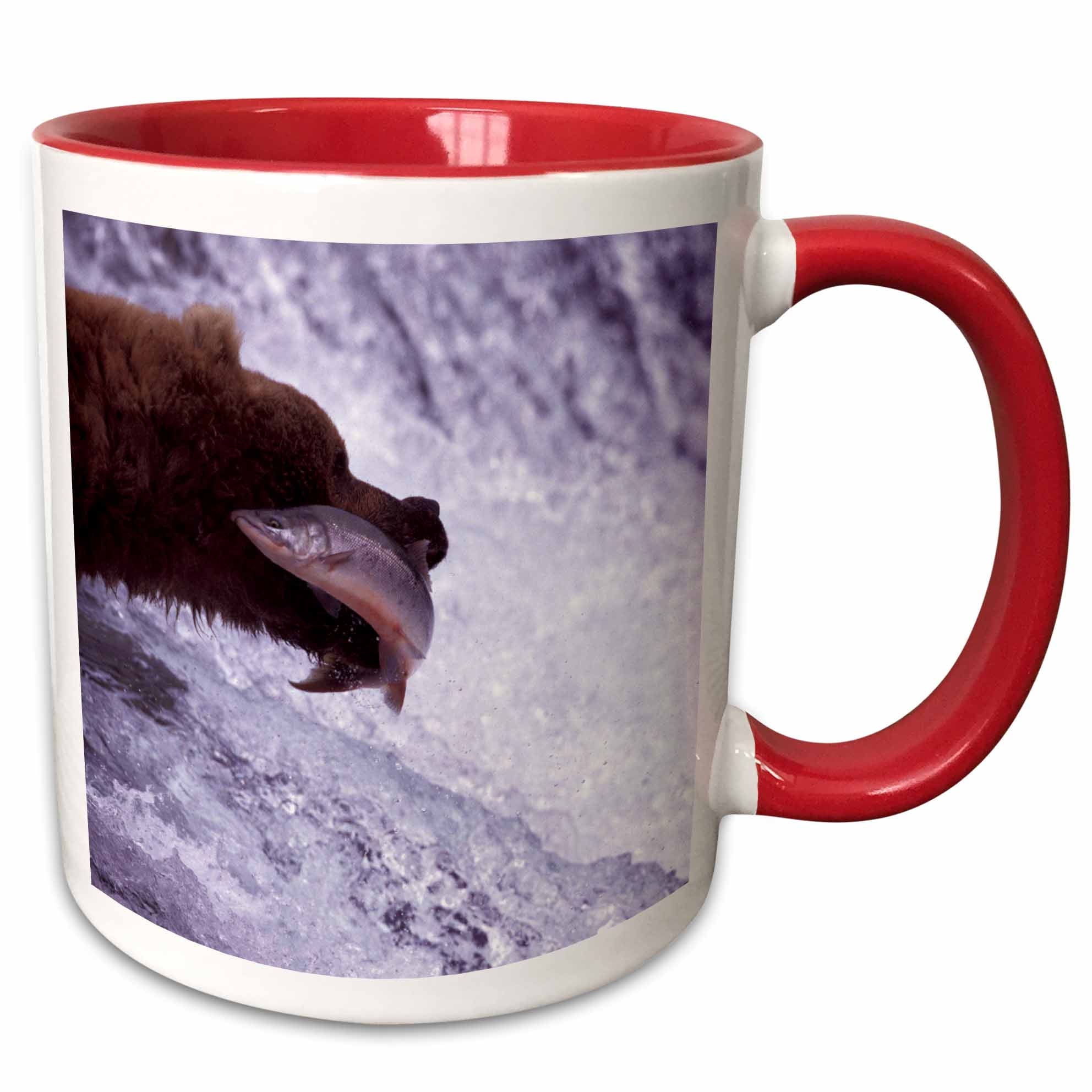 3drose, Alaska, Katmai, Brooks Fall. Brown Bear - Us02 Swe0149 - Stuart ...