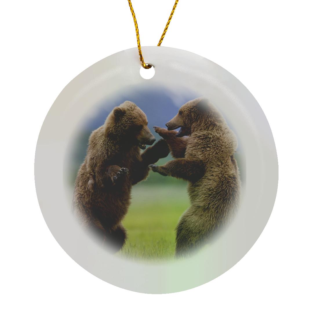3drose, Alaska, Katmai Np, Brown Bear, Hallo Bay - Us02 Pso0895 - Paul ...