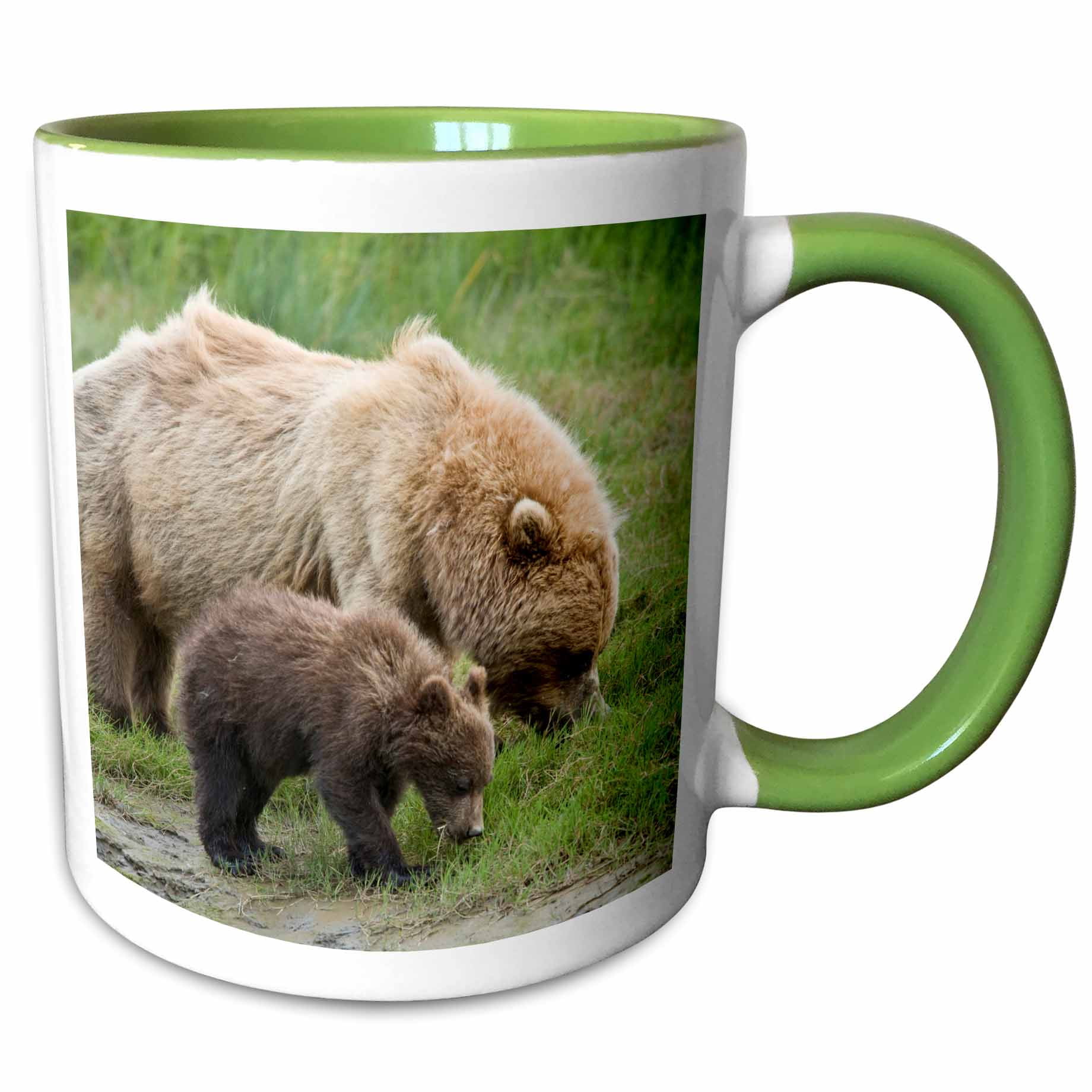 3drose, Alaska, Lake Clark National Park, Grizzly Bears - Us02 Bth0014 ...