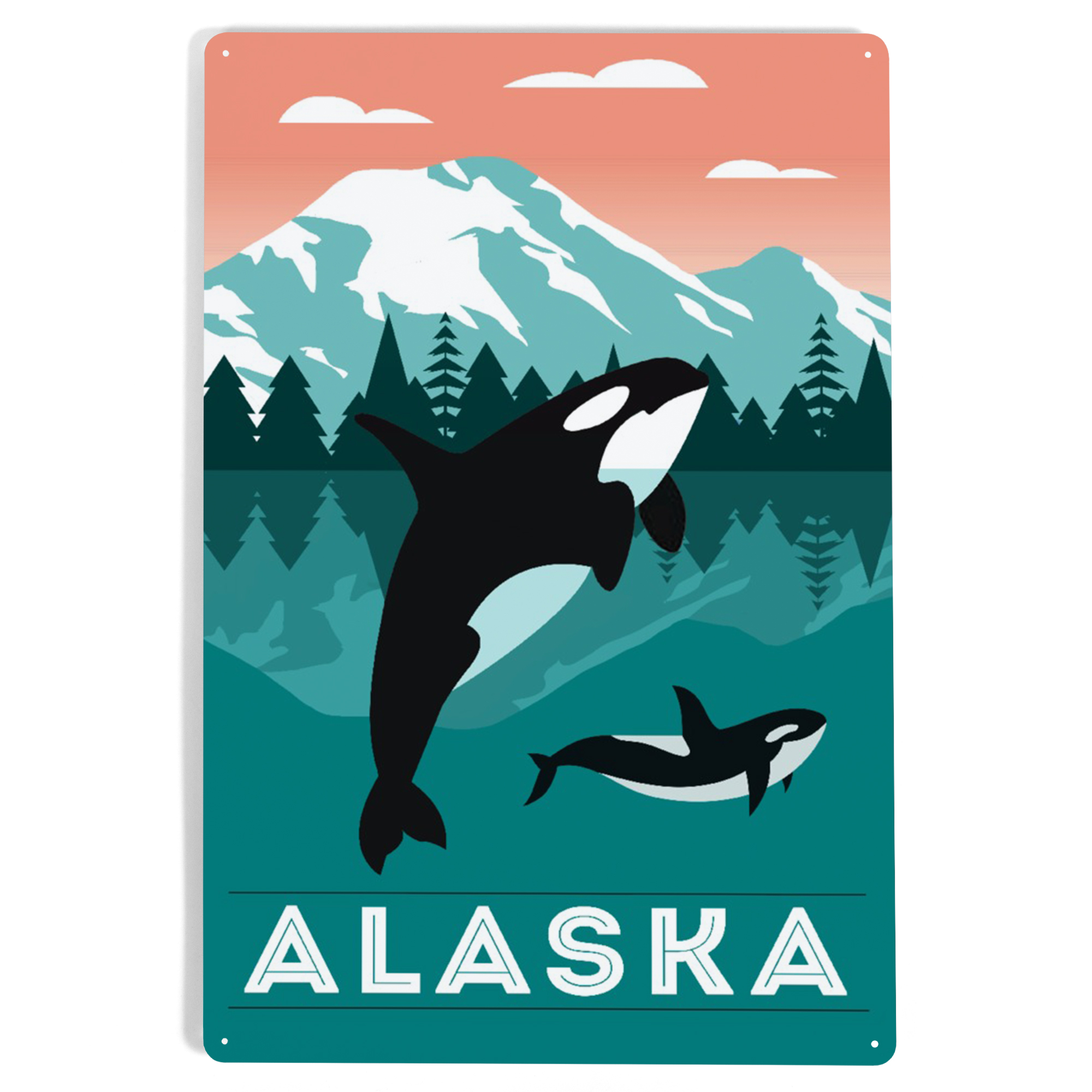 Alaska, Orca Whale and Calf (12x18 Aluminum Art, Indoor Outdoor Metal ...