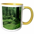 3drose, Alaska, Tongass National Forest, Rainforest - Us02 Ksc0030 ...