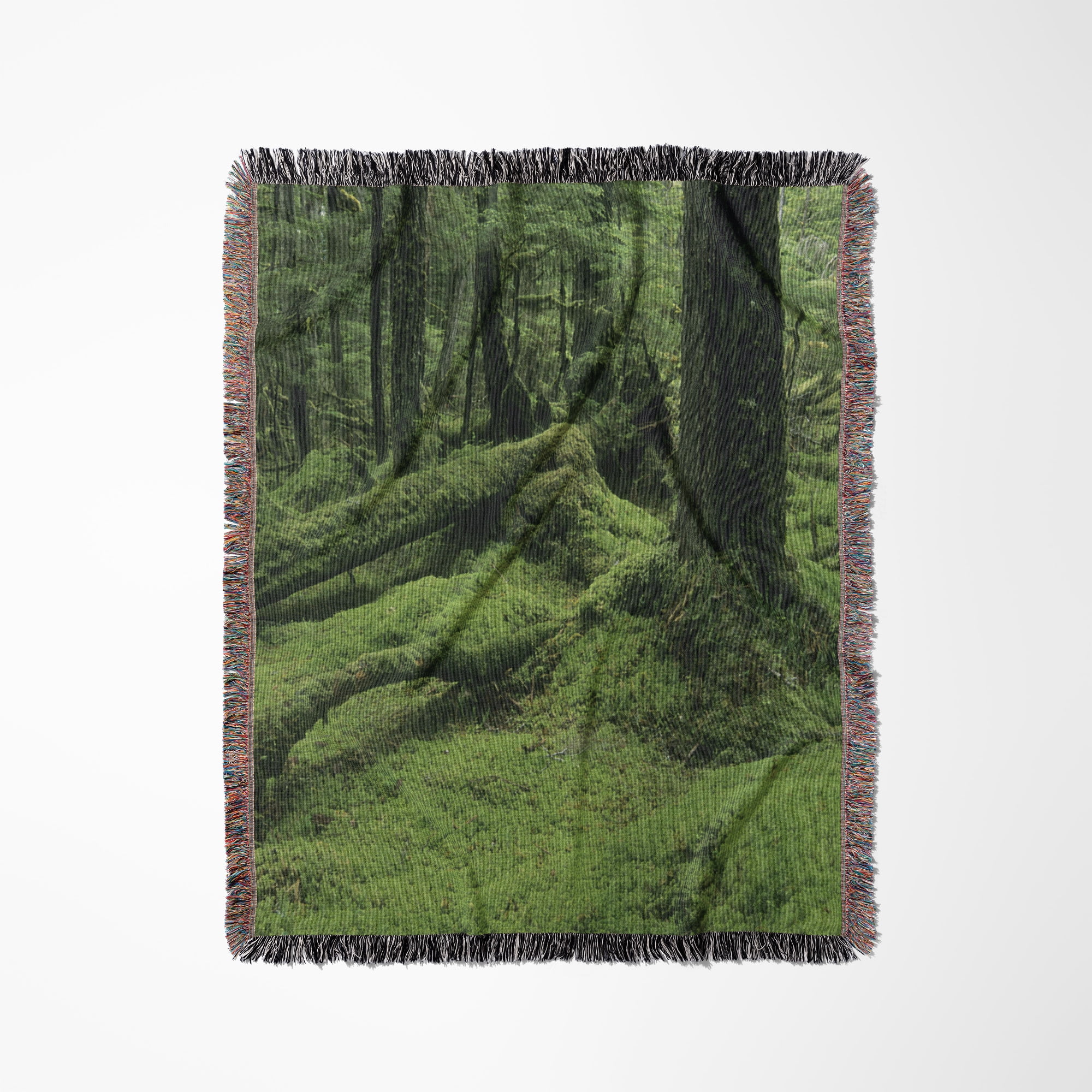 Alaska, Tongass National Forest, Rainforest - Us02 Ksc0030 - Kevin ...