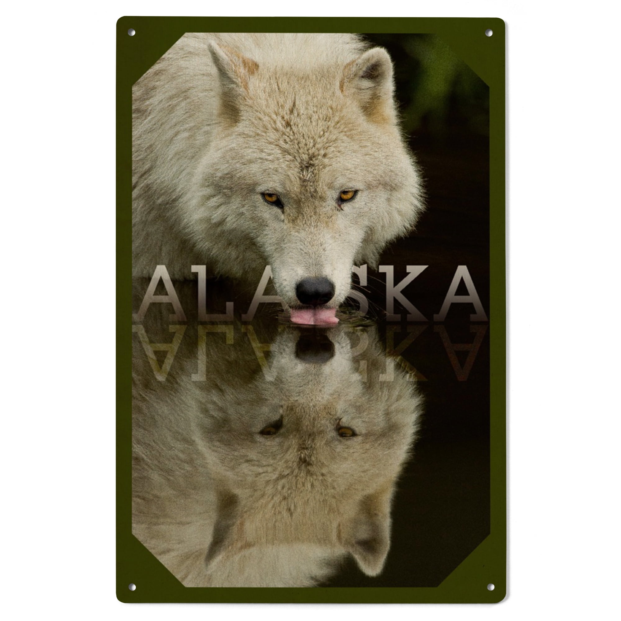 Alaska, Wolf Drinking, Contour Birch Wood Wall Sign (6x9 Rustic Home ...