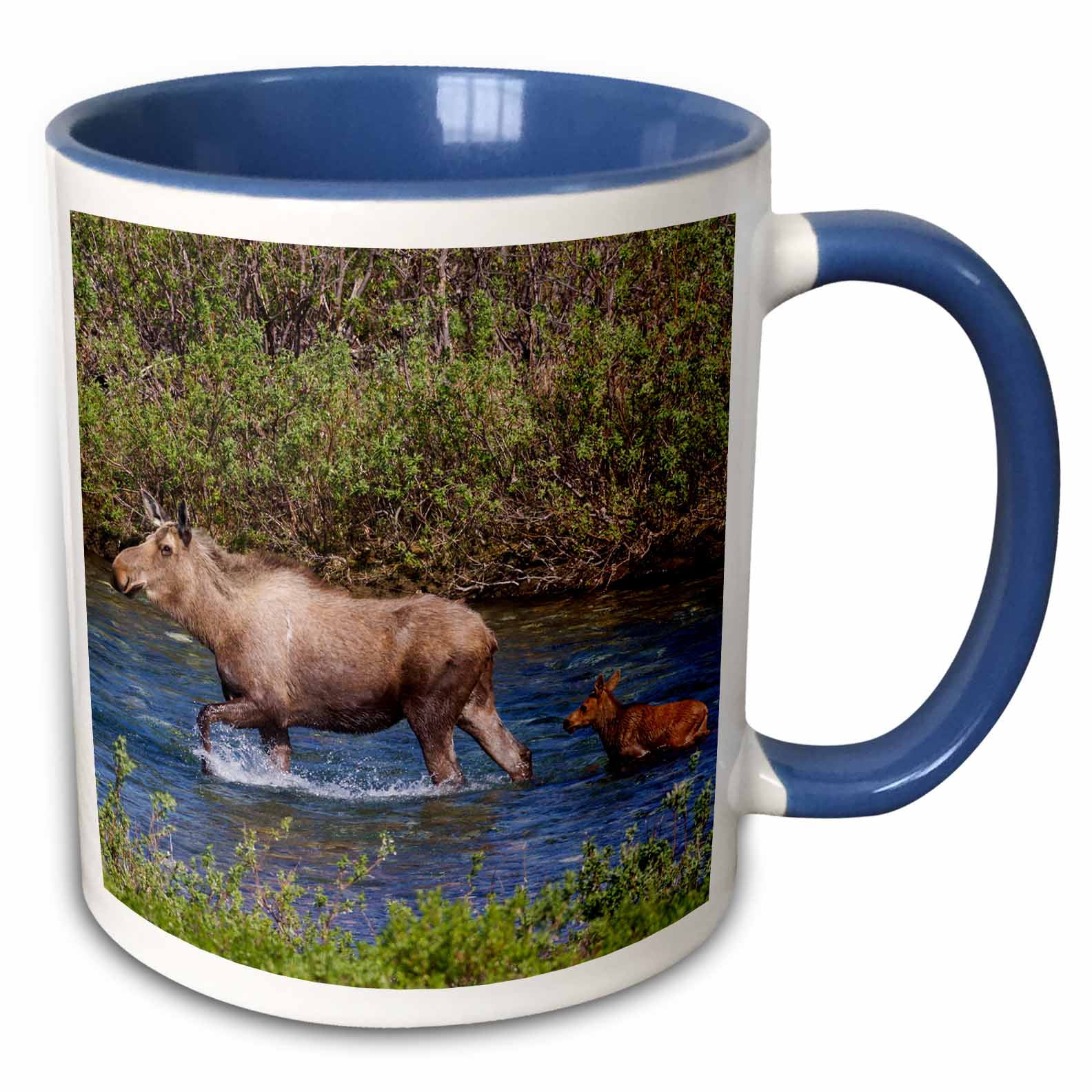 3drose, Alaskan Cow Moose with Young Calf, 11oz Two-tone Blue Mug ...