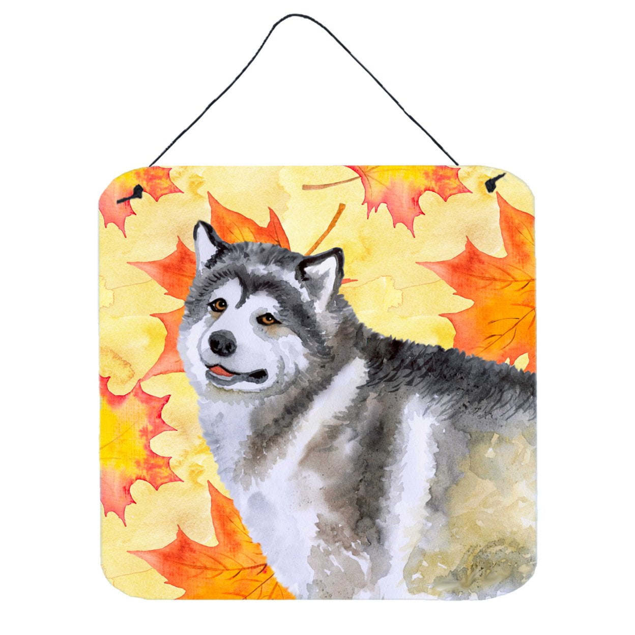 Yellow Malamute