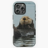 Alaskan Sea Otter Marine Wildlife Art iPhone Case 11 12 13 14 15 16 17 ...