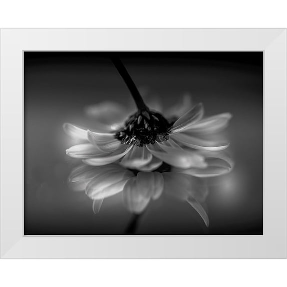 Albanese, Manuela 14x12 White Modern Wood Framed Museum Art Print ...