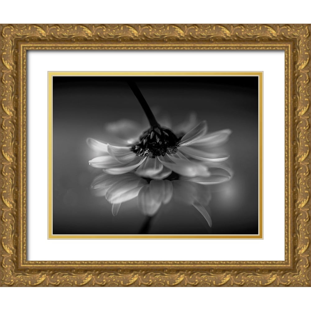Albanese, Manuela 24x19 Gold Ornate Wood Framed with Double Matting ...