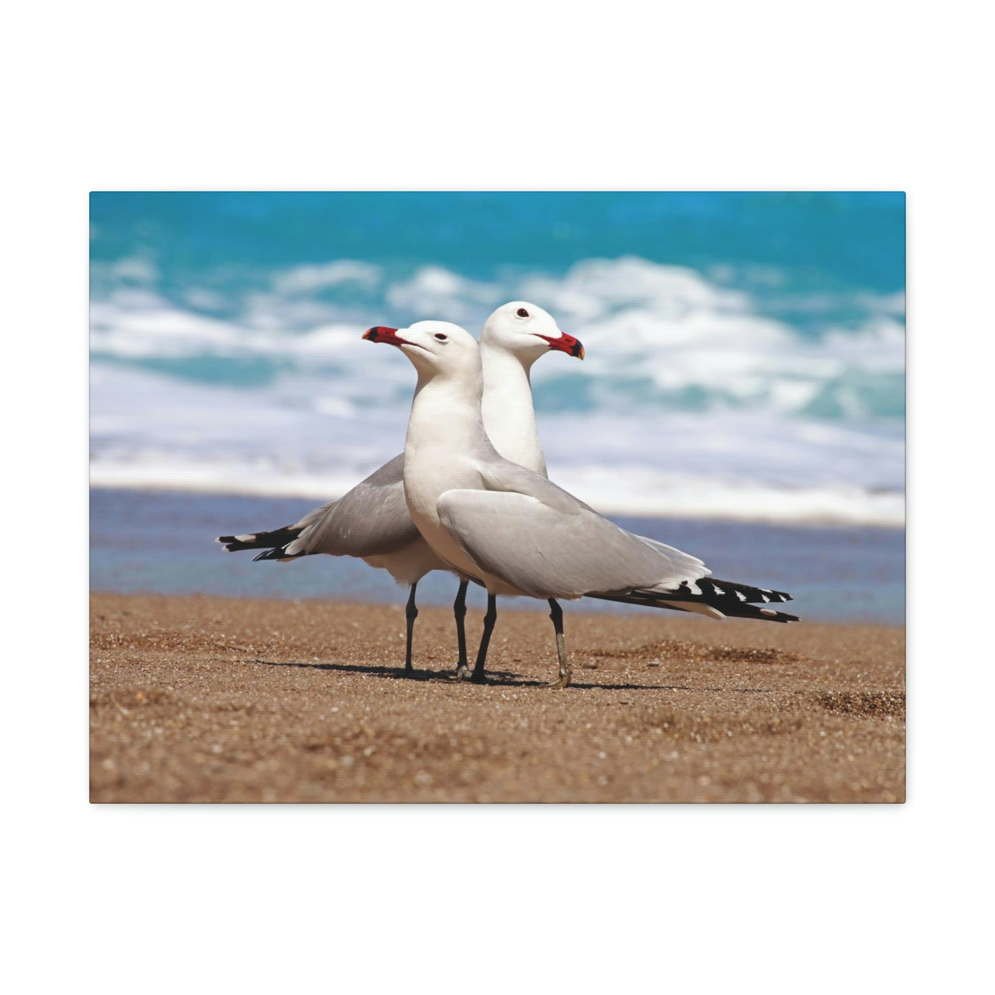 Albatross Couple Albatross Troop Print Animal Wall Art Wildlife Canvas ...