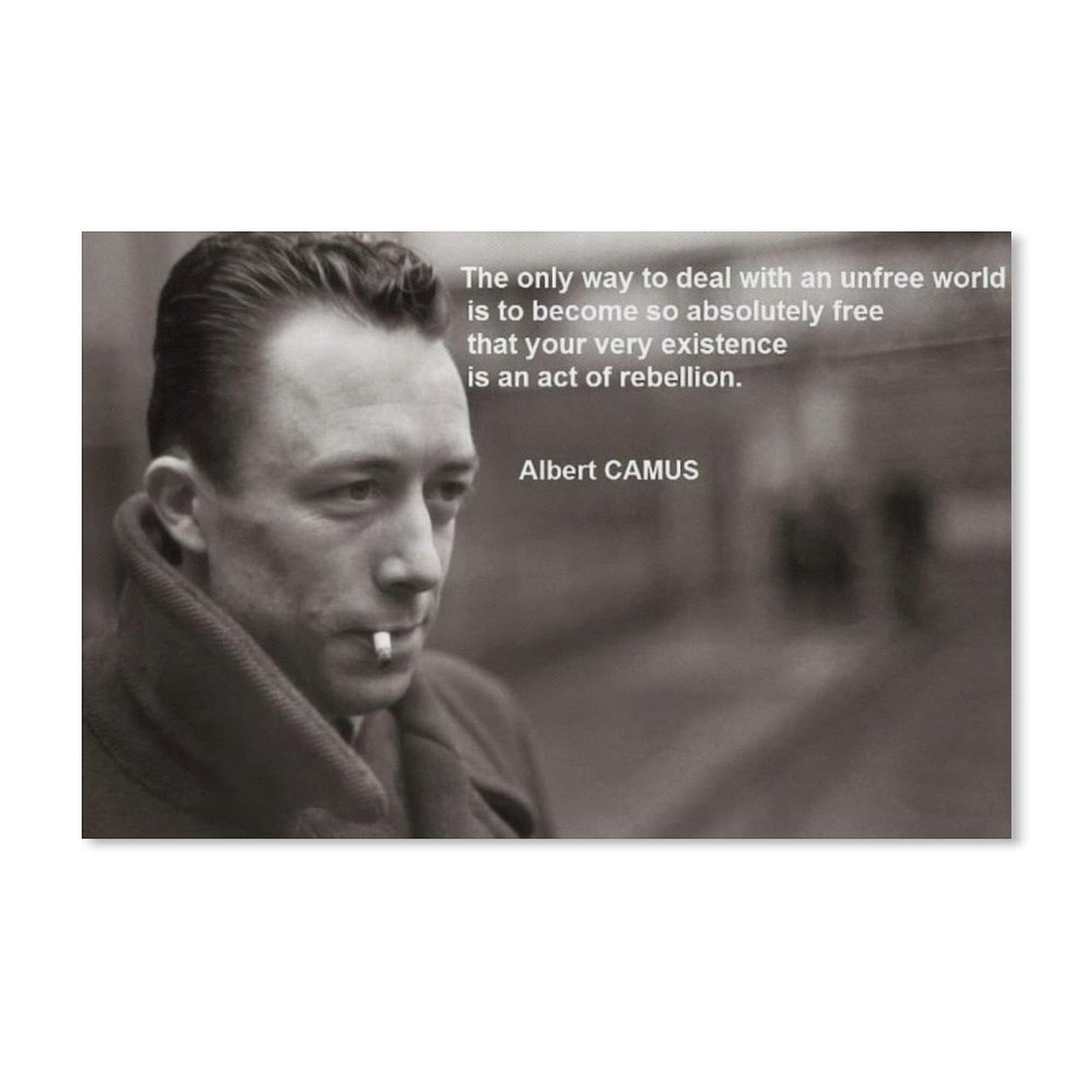 Albert Camus Quote Poster Canvas Painting Creativity Poster for Living ...