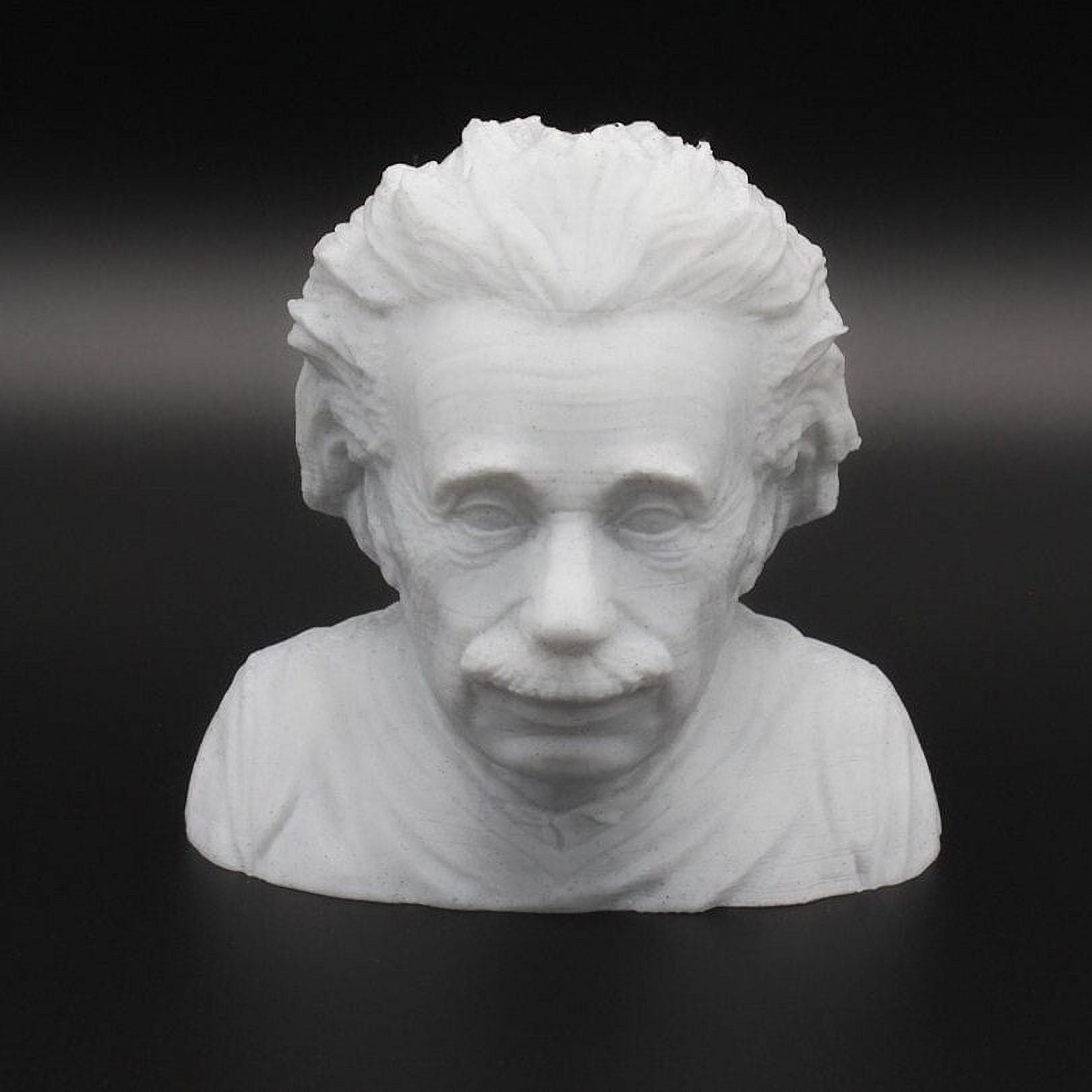 Albert Einstein Bust – Genius-Inspired Figurine Statue - Walmart.com