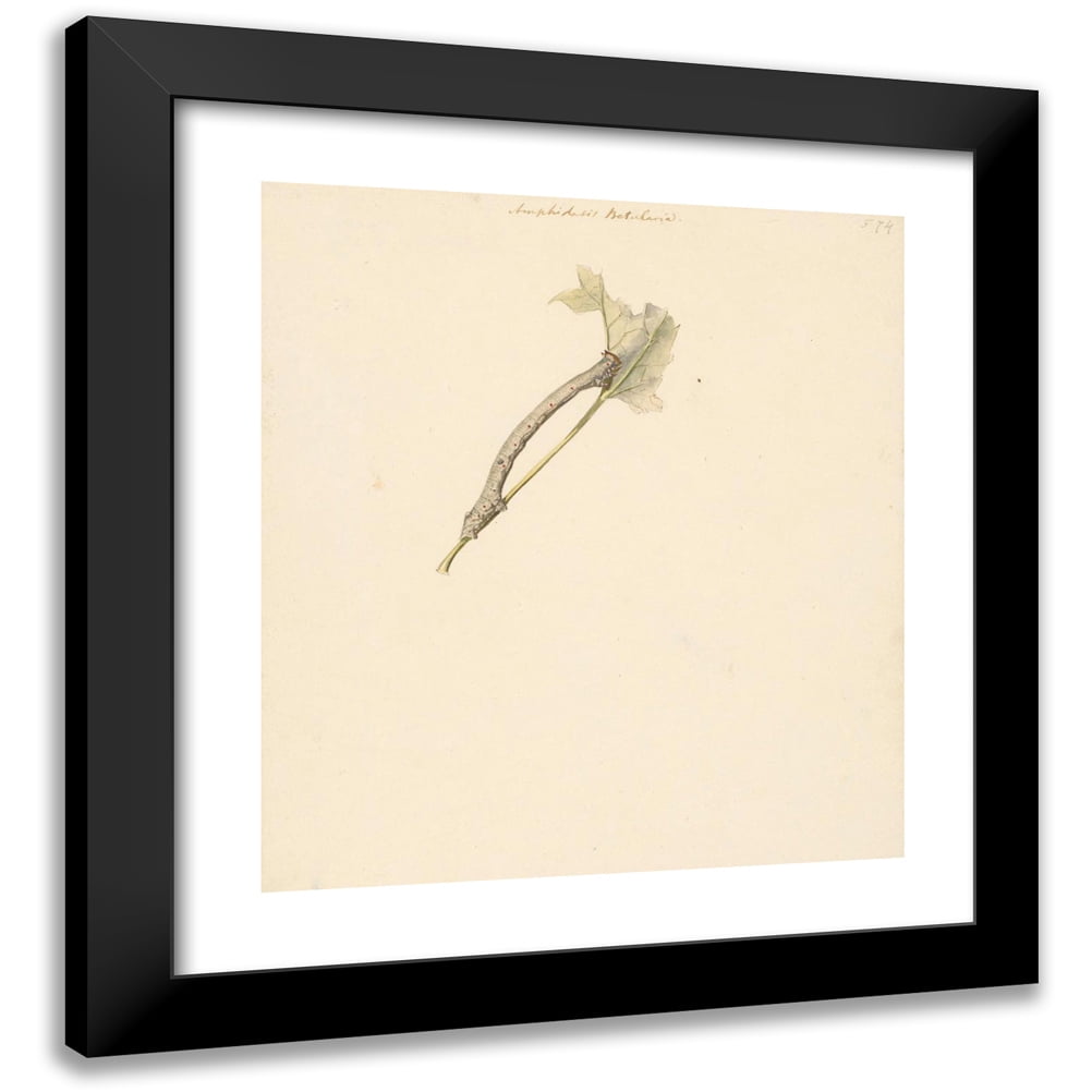 Albertus Steenbergen 15x16 Black Modern Framed Museum Art Print Titled ...