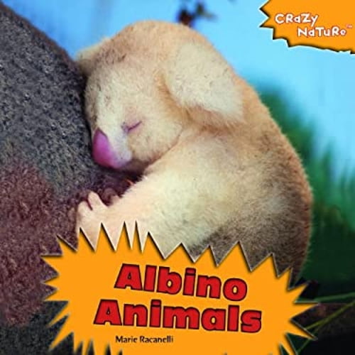 Pre-Owned Albino Animals (Library Binding) 1435893816 9781435893818 ...