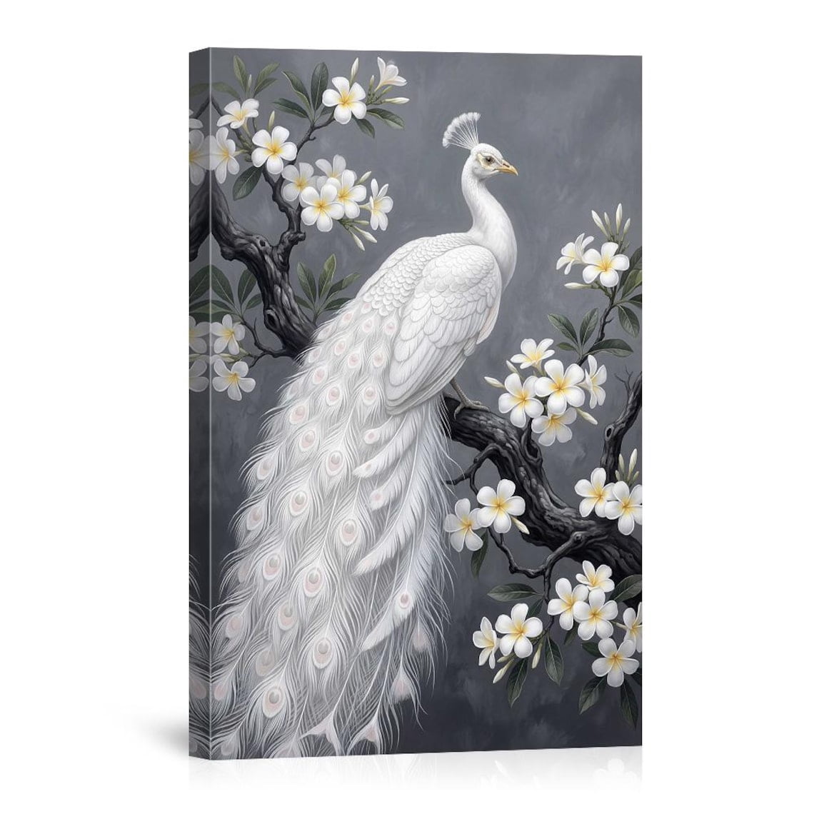 Albino Peacock White Elegant Bird Floral Plumeria Tree Nature Home ...