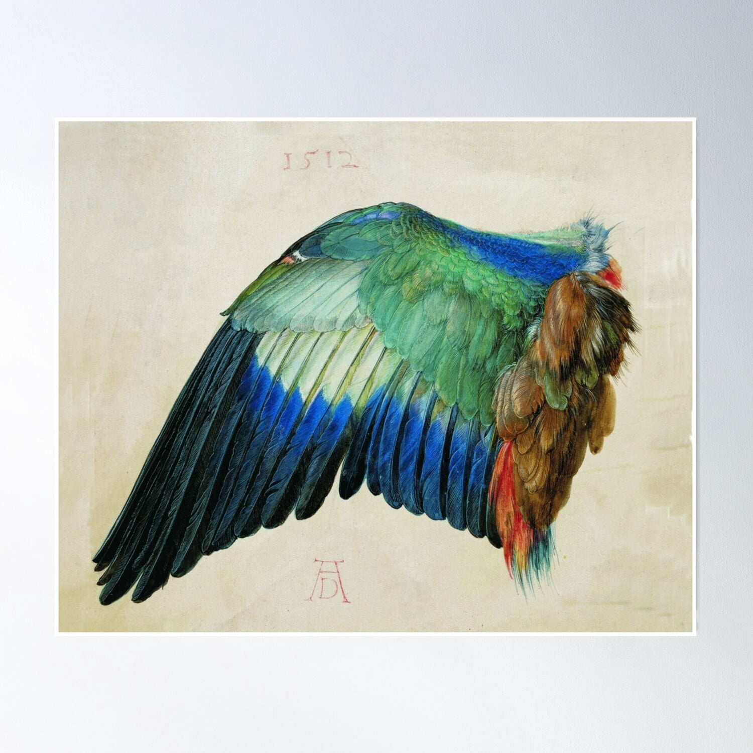 Albrecht Dürer - Wing Of A Roller 1512 Poster Wall Art, Modern Wall ...