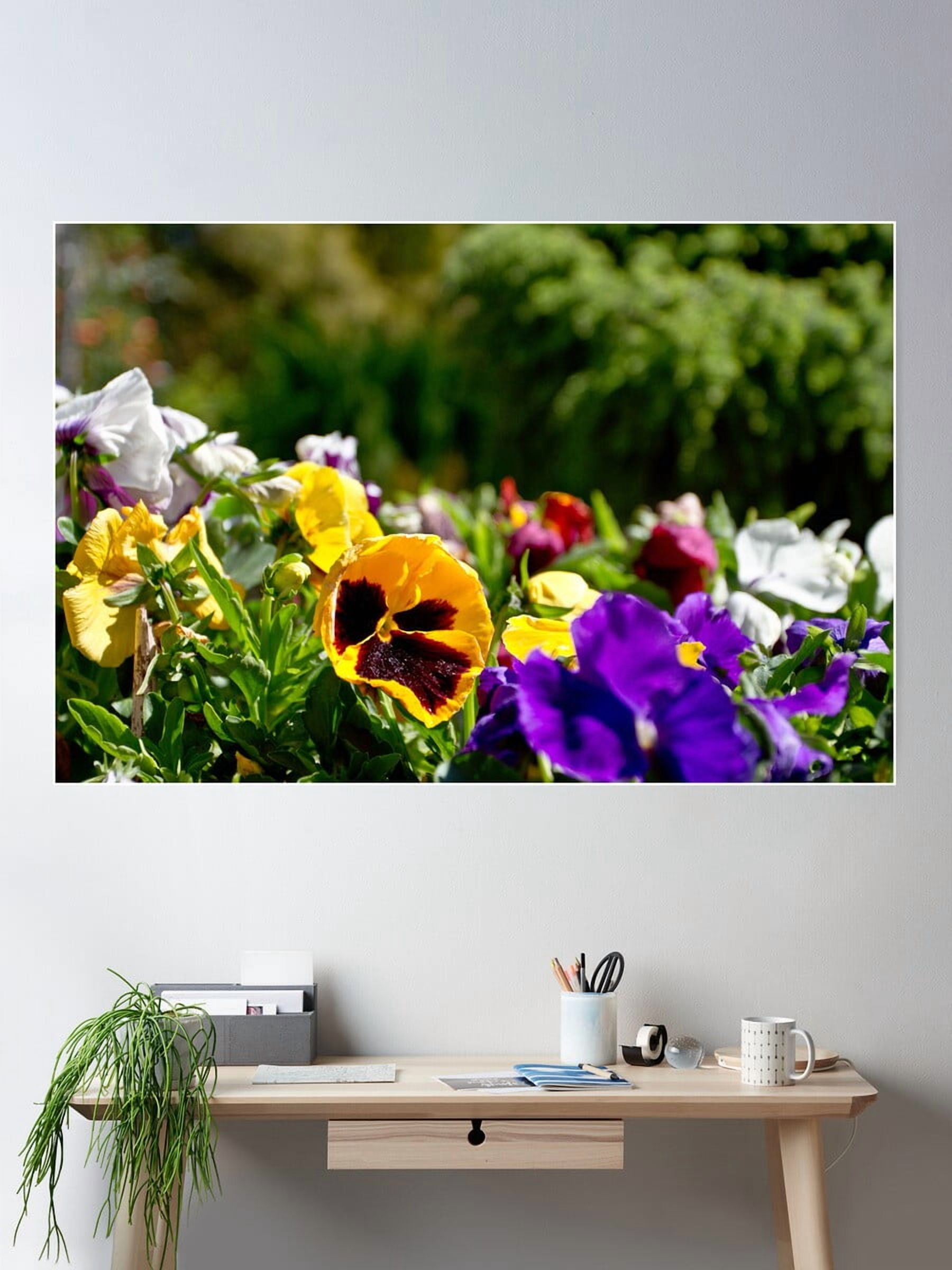 Albury Botanical Gardens 1 Poster Wall Art Modern Wall Decor For Living ...