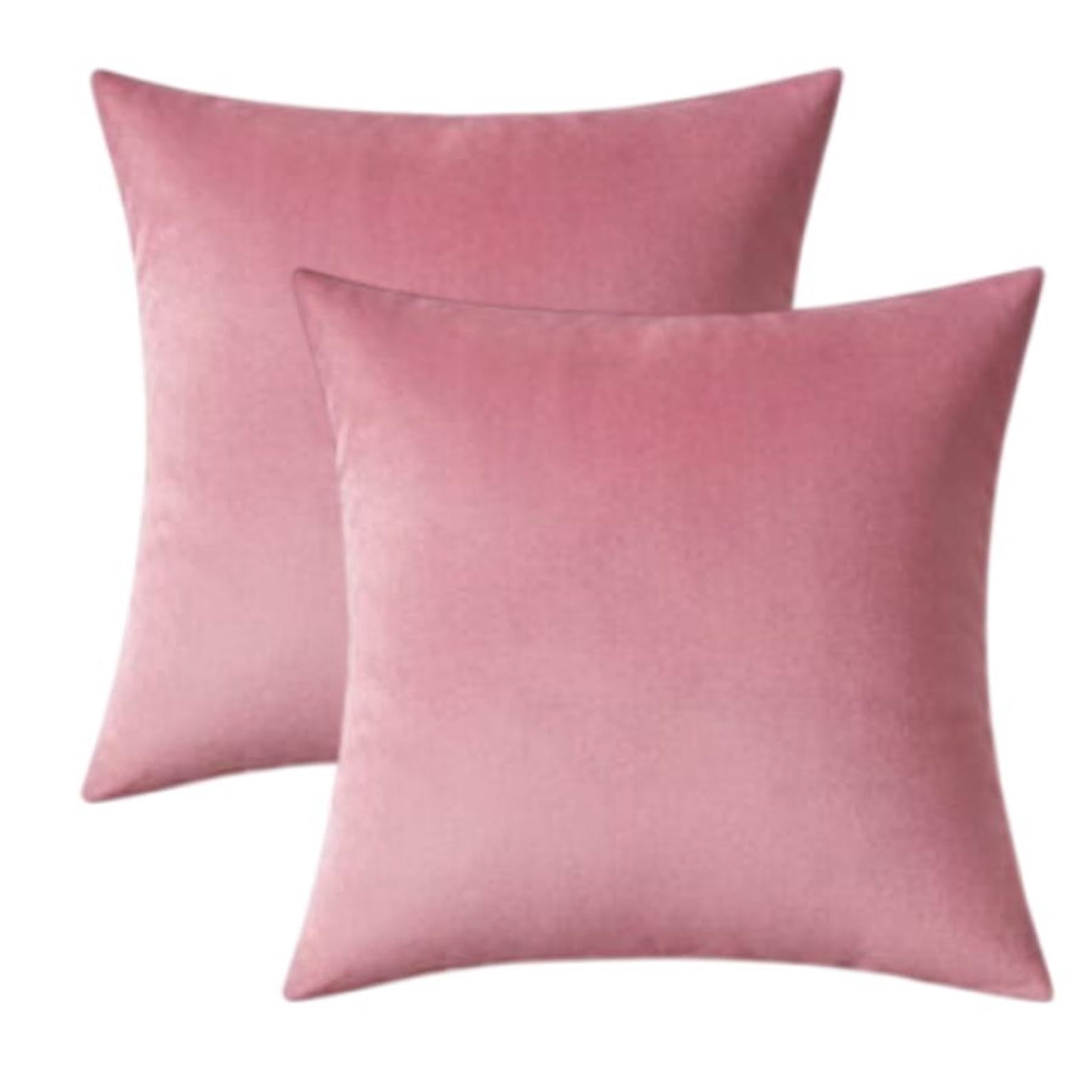 Alchemic Living Set of 2 Blush Taupe Luxurious Soft Velvet Rectangle ...