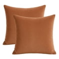Alchemic Living Set of 2 Terracotta Luxurious Soft Velvet Pillow Covers ...
