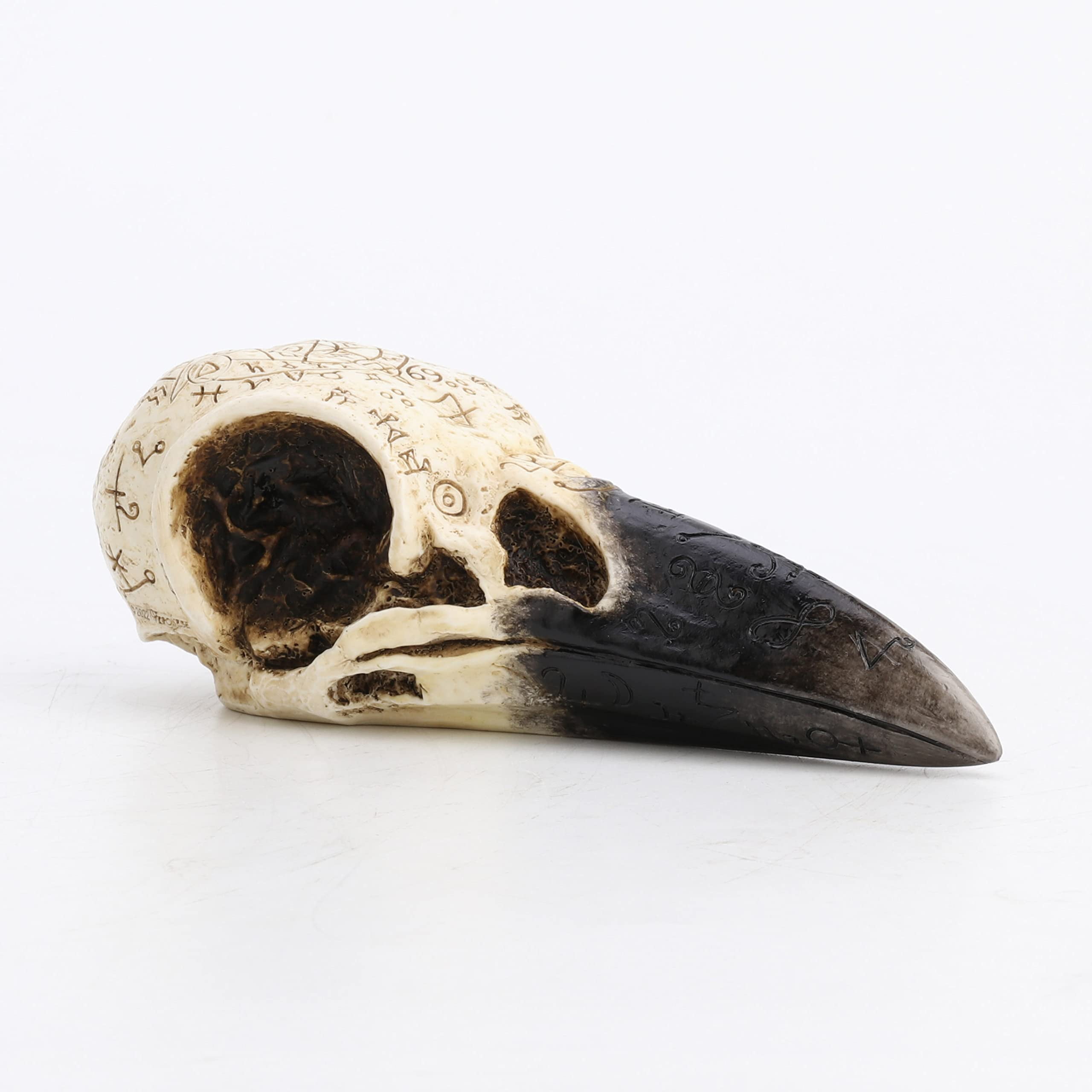 Veronese Design 6 1/4 Inch Occult Ritual Raven Skull Wtichcraft Home ...