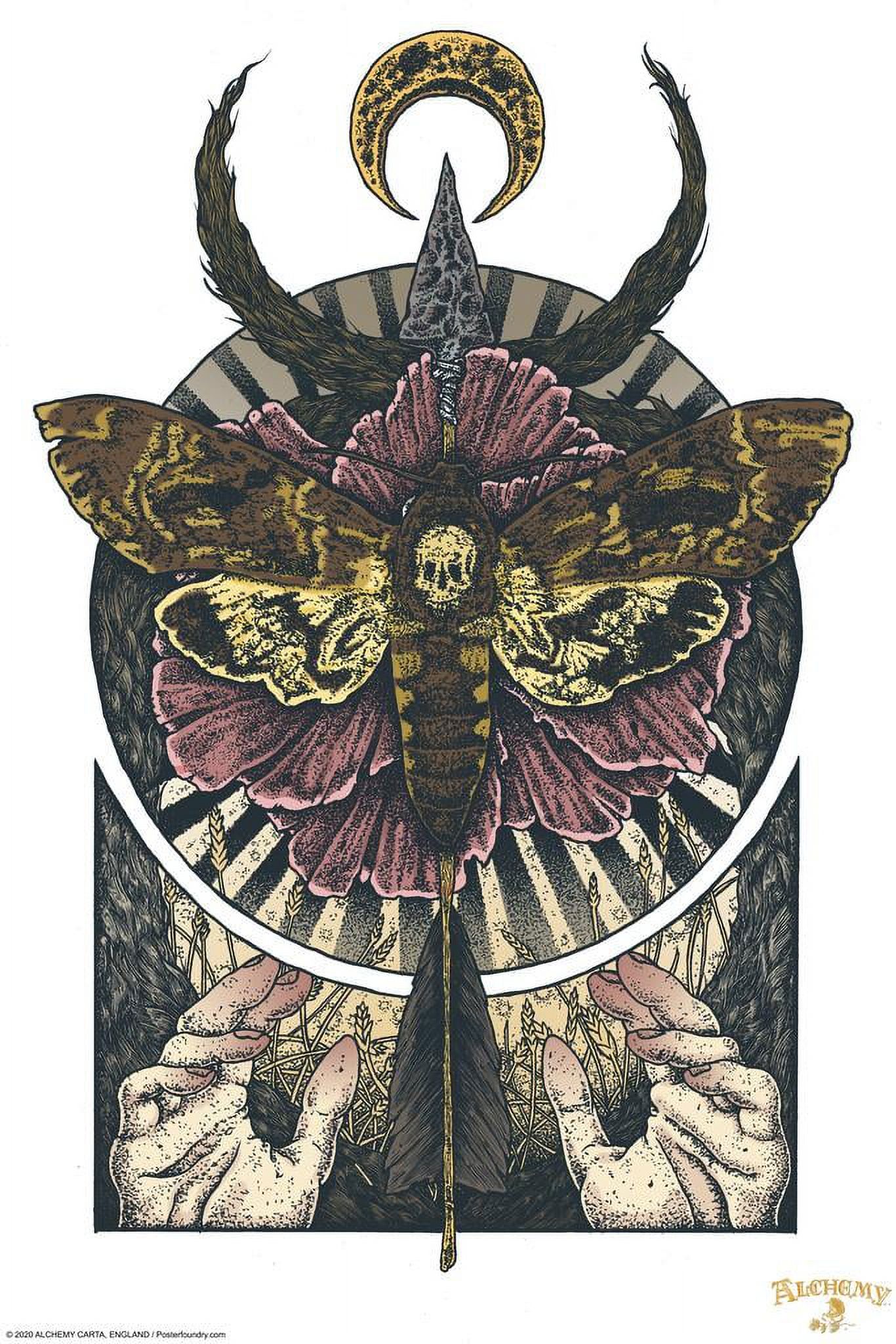 Alchemy Flight of Achlys Death Head Moth Spooky Witchy Room Decor ...