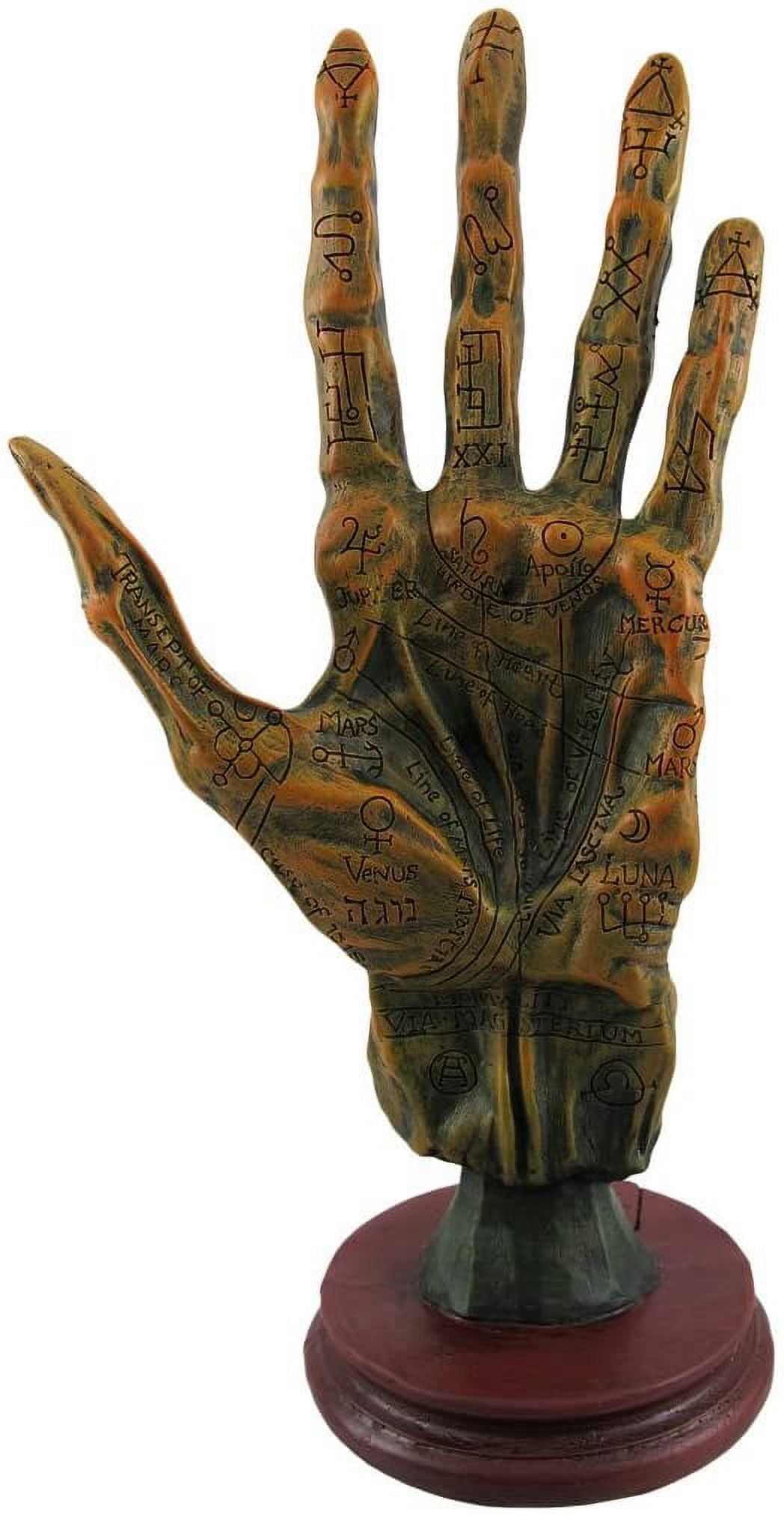 Alchemy Mummified Palmistry Hand Gothic - Walmart.com