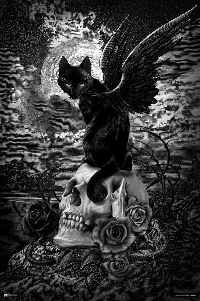 Alchemy Nine Lives of Poe Winged Black Cat On Skull Edgar Allen Poe Witchy Room Decor Gothic ...