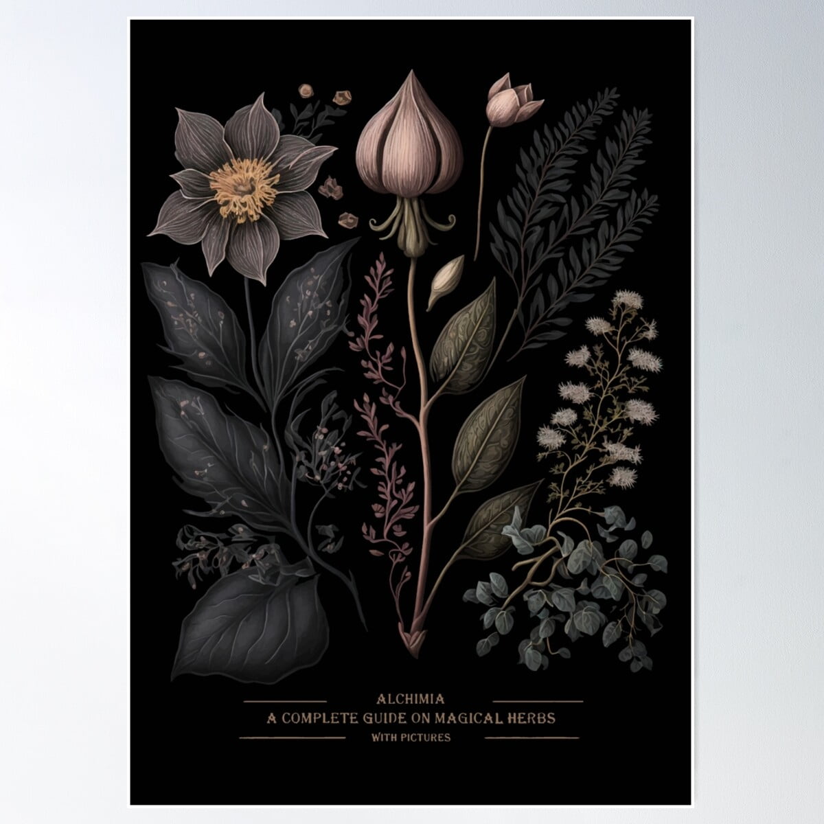 Alchimia - Magical Herbs Guide Poster Wall Art, Modern Wall Decor For ...