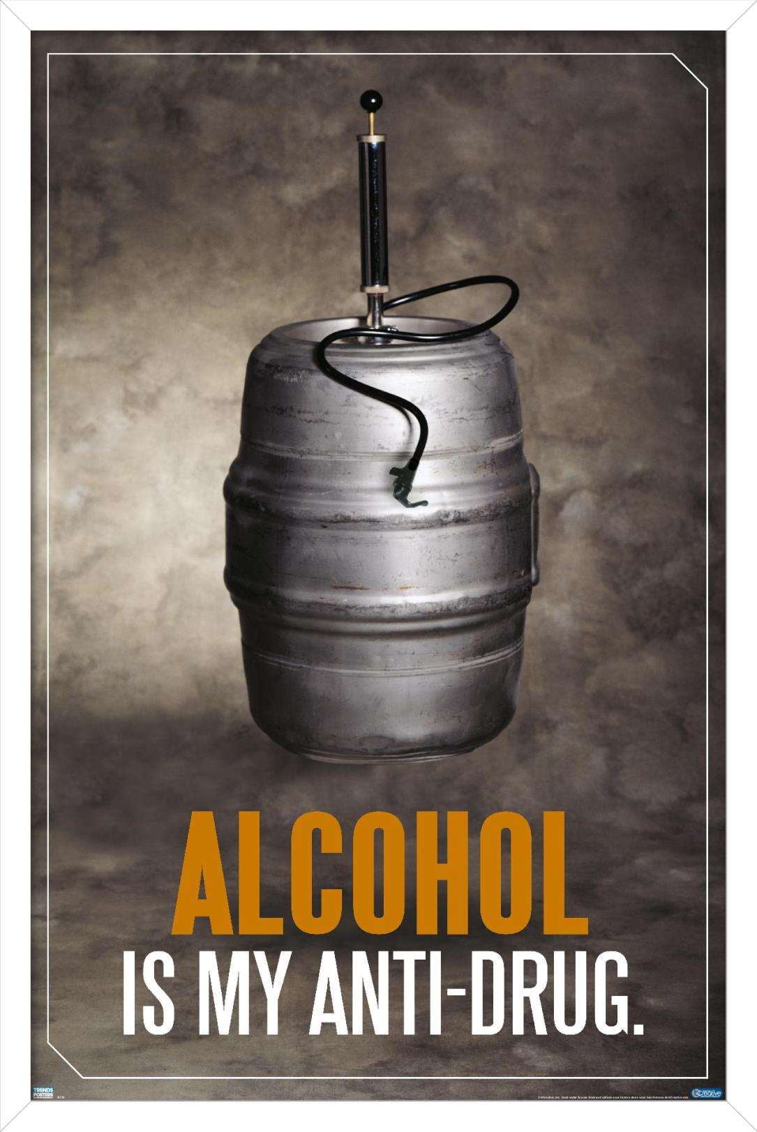 Alcohol - Anti-Drug Wall Poster, 14.725" x 22.375", Framed - Walmart.com