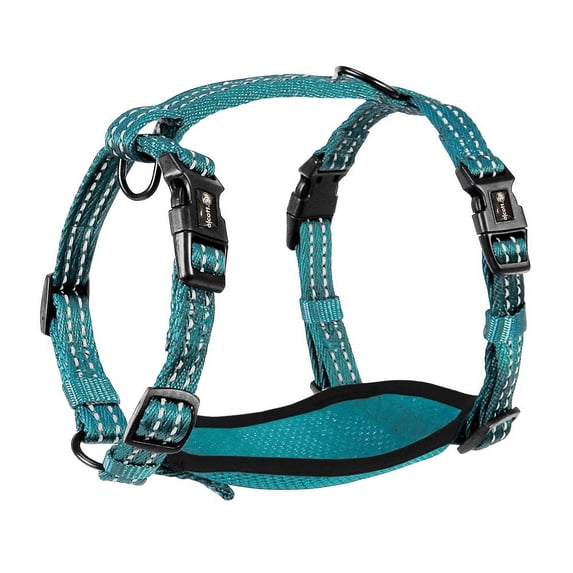 alcott Adventure Harness, Small, Blue - Walmart.com