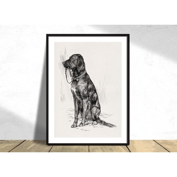 Aldrichs Dog John Davis Hatch Fine Art Classic Reproduction Retro ...