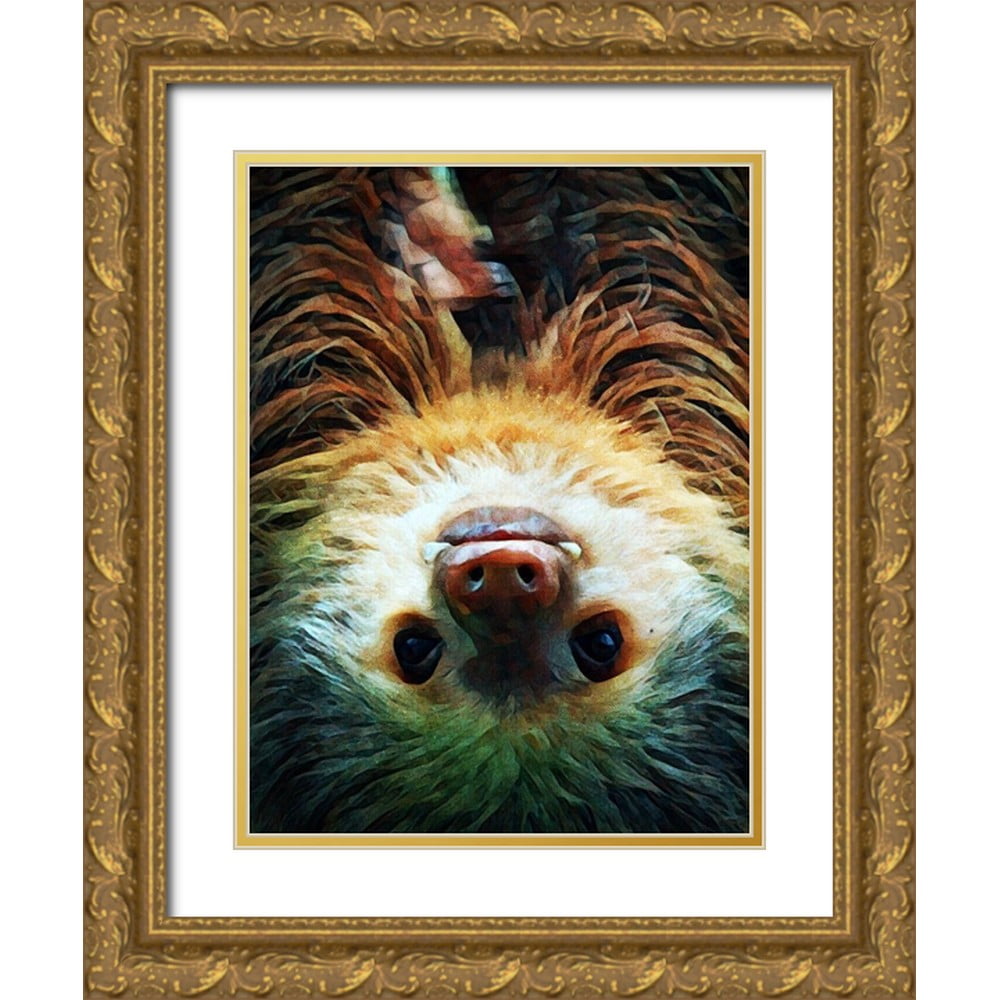 Aldridge, Ashley 12x14 Gold Ornate Wood Framed with Double Matting ...