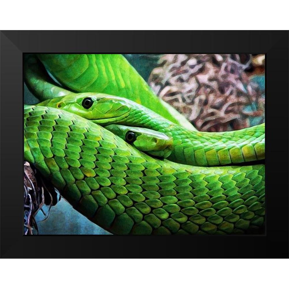 Aldridge, Ashley 24x19 Black Modern Framed Museum Art Print Titled ...