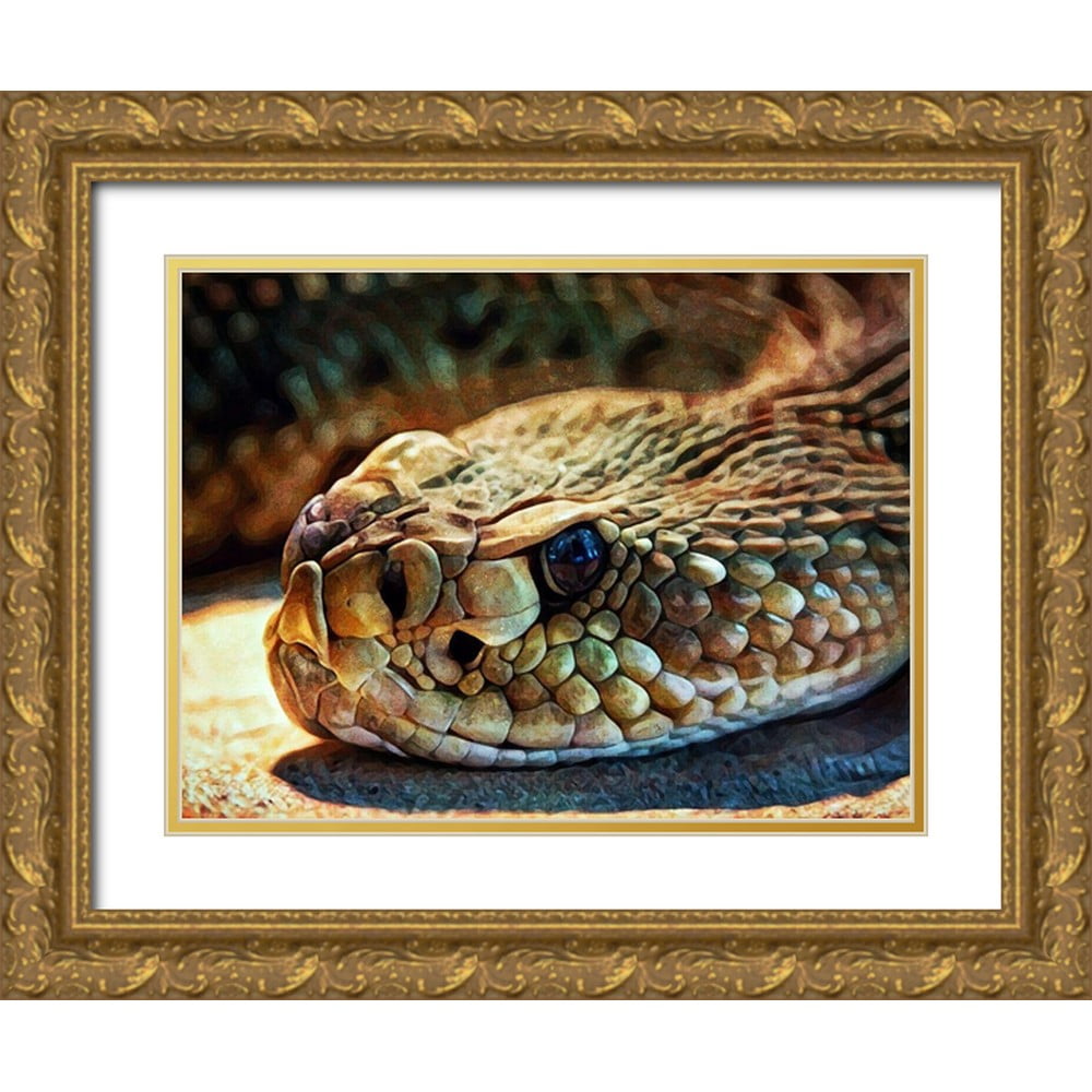 Aldridge, Ashley 24x19 Gold Ornate Wood Framed with Double Matting ...