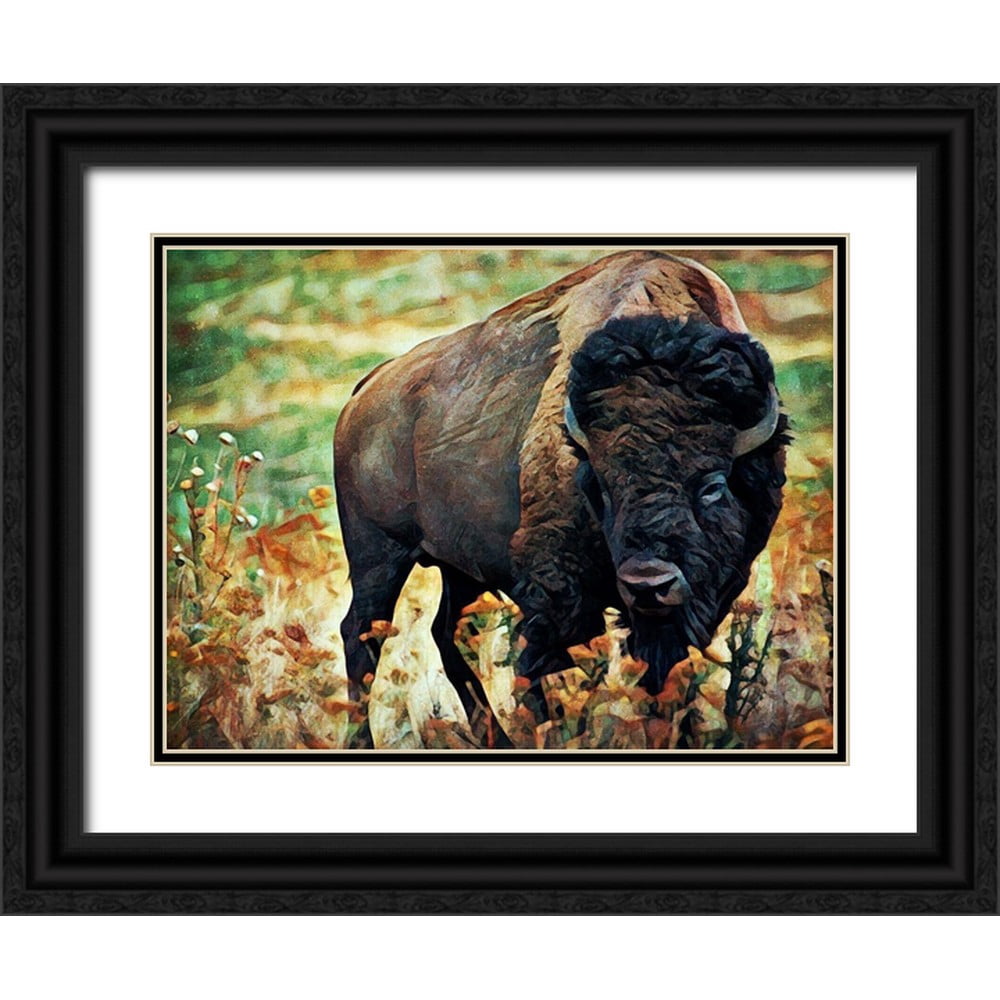 Aldridge, Ashley 32x25 Black Ornate Wood Framed with Double Matting ...