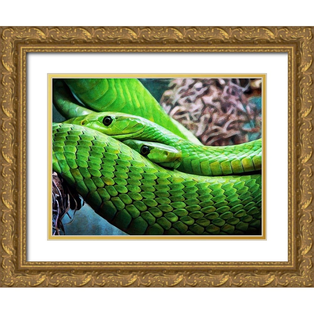 Aldridge, Ashley 32x25 Gold Ornate Wood Framed with Double Matting Museum Art Print Titled ...