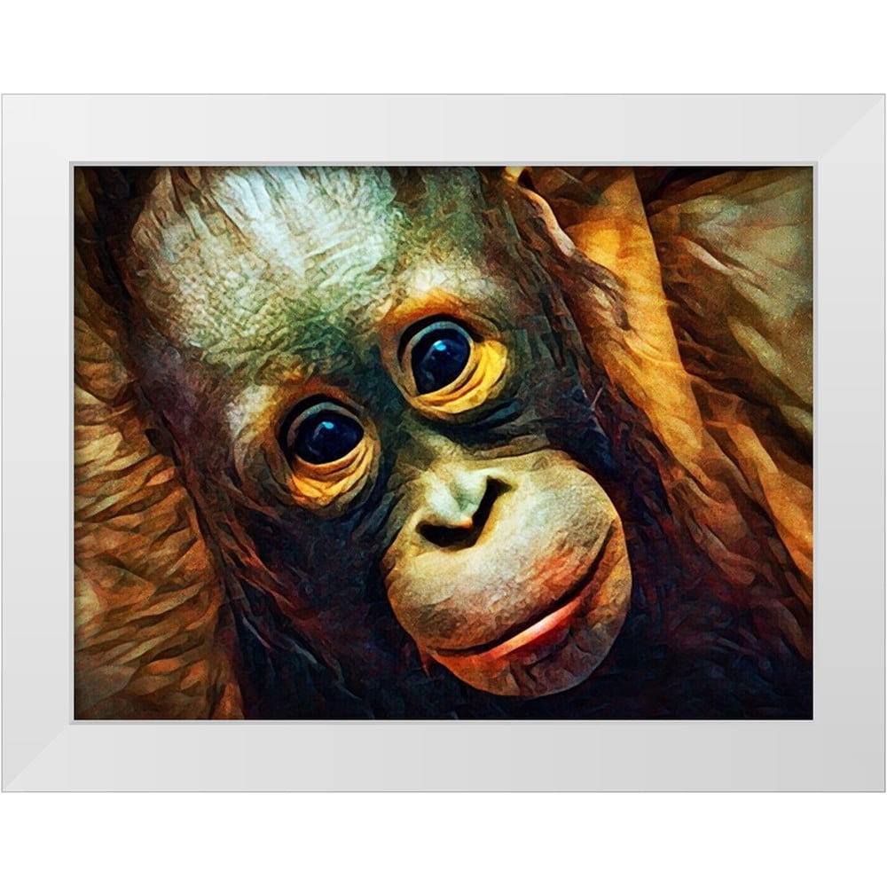 Aldridge, Ashley 32x25 White Modern Wood Framed Museum Art Print Titled ...