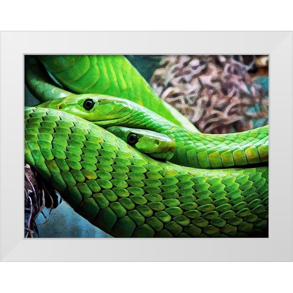 Aldridge, Ashley 32x25 White Modern Wood Framed Museum Art Print Titled ...