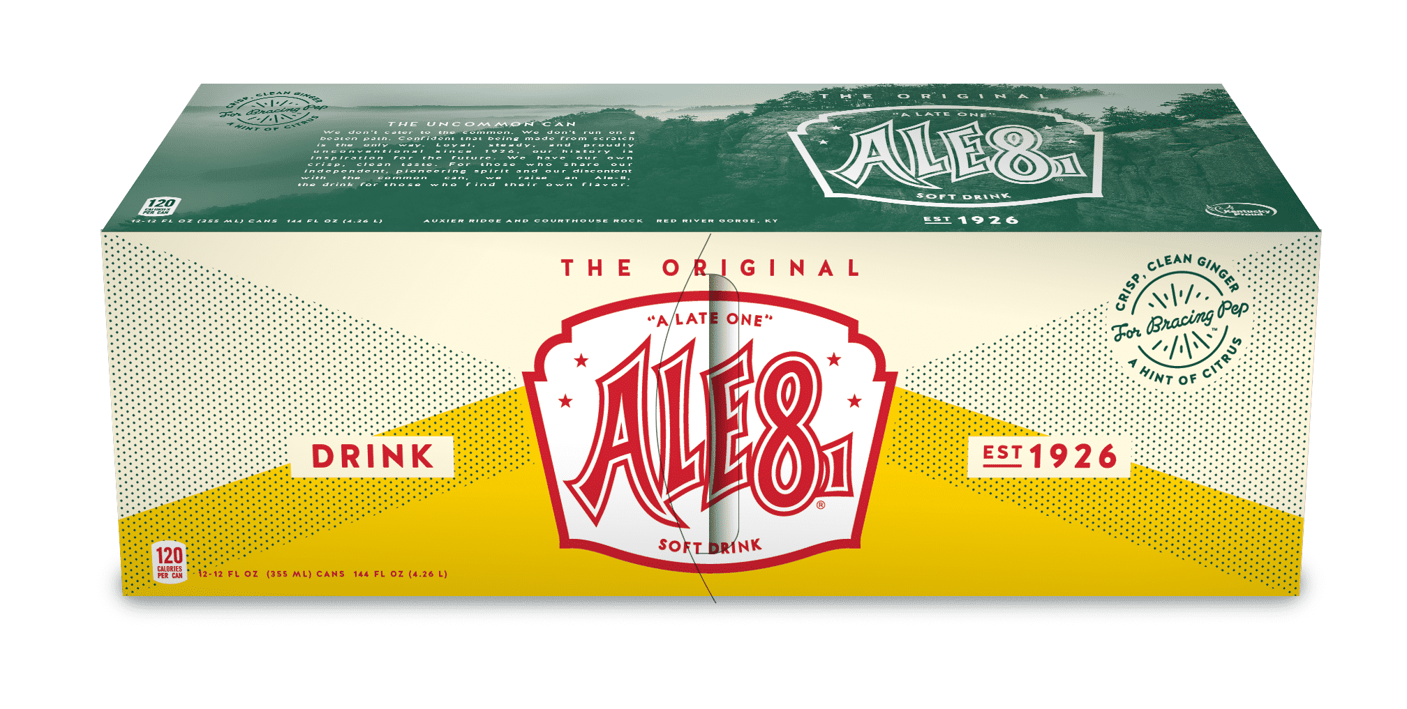 Ale-8-One Ginger Ale Soda, 12 Fl Oz Cans, 12 Pack Soft Carbonated Drink ...