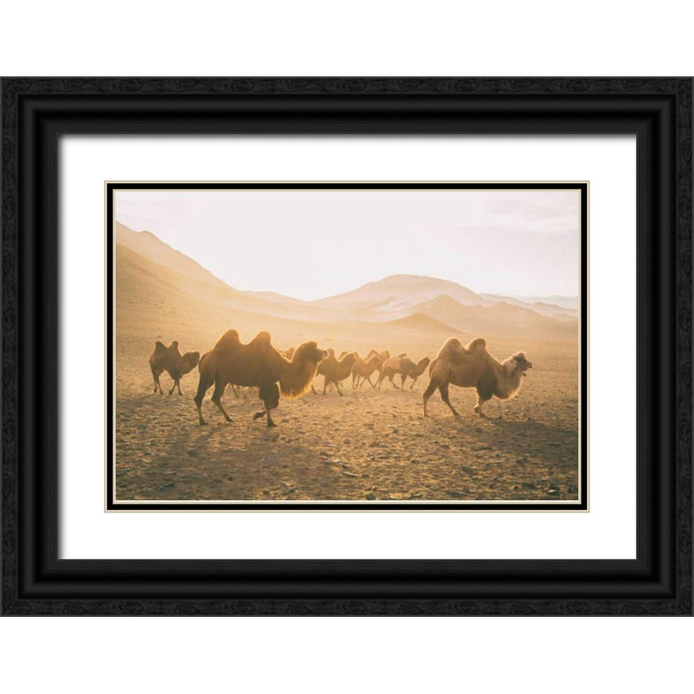 Aledanda 14x11 Black Ornate Wood Framed with Double Matting Museum Art ...