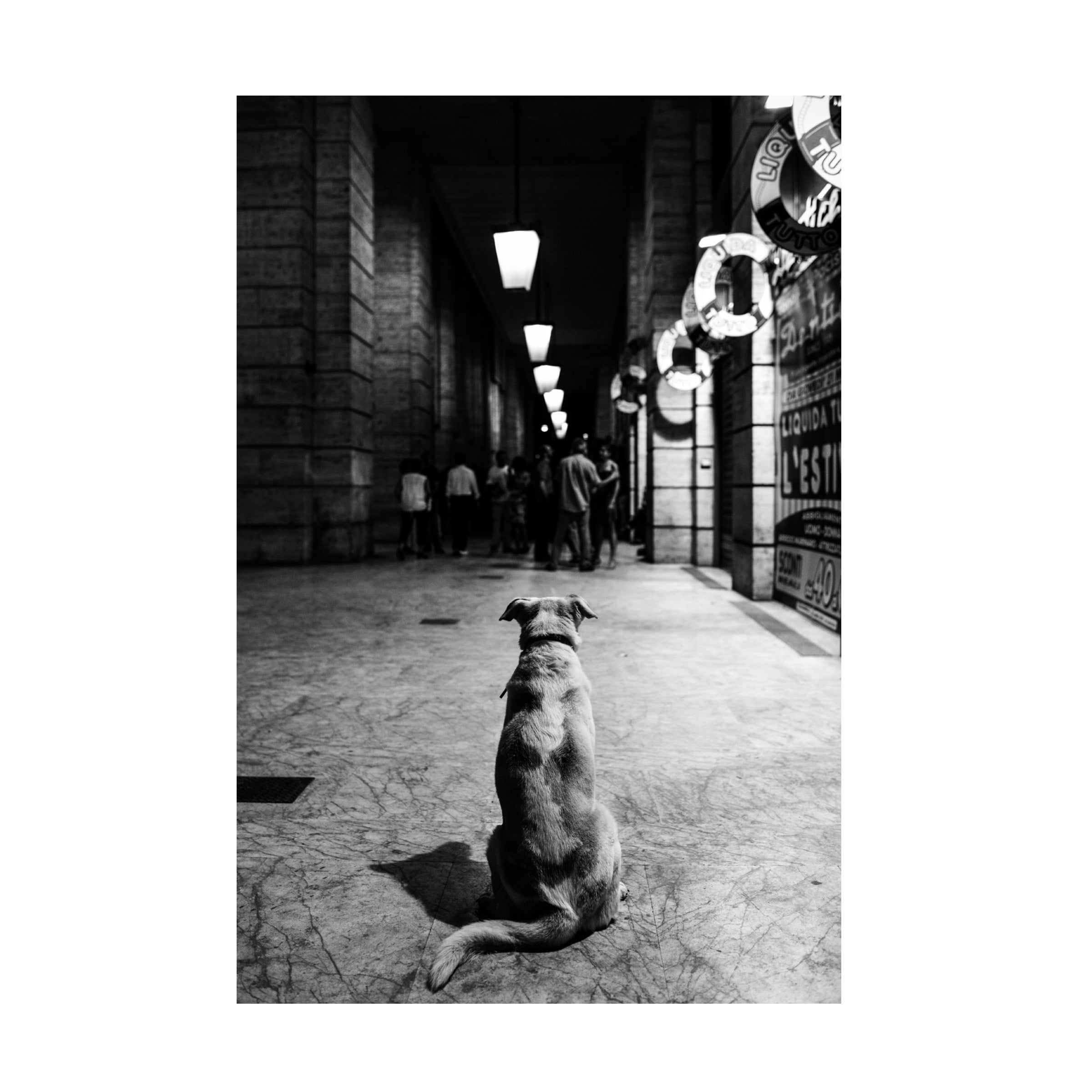 Trademark Fine Art Alessandro Perino The Wait Canvas Art - Walmart.com