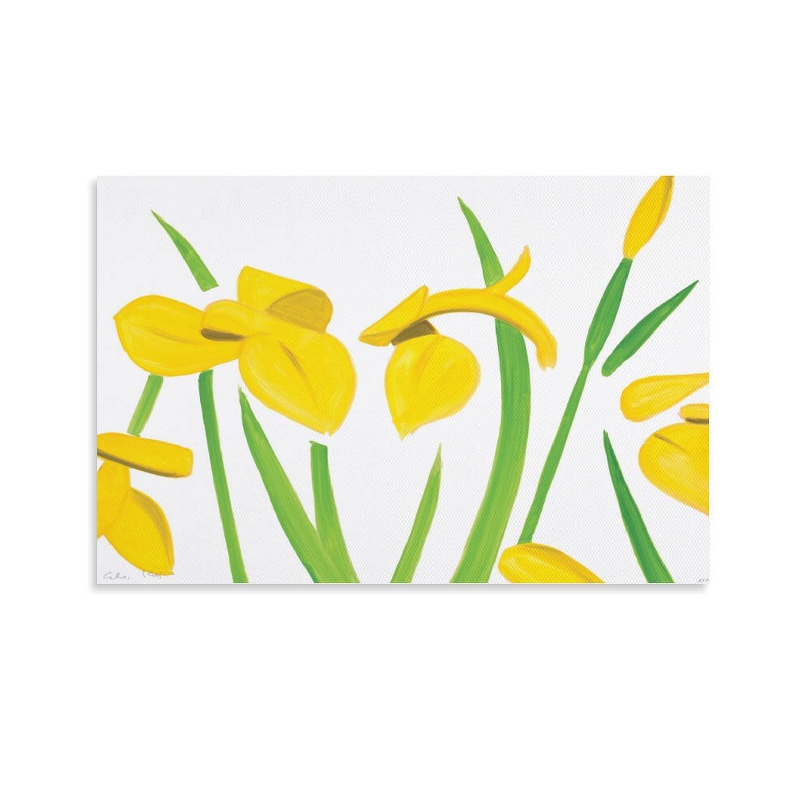 Alex Katz Was An American Painter《Yellow Flags on White》Abstract Art ...