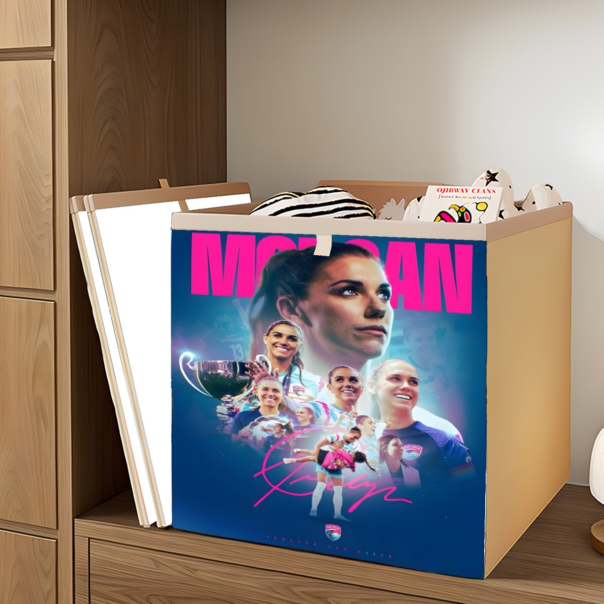 Alex Morgan organizer box say goodbye to clutter with one sleek box ...